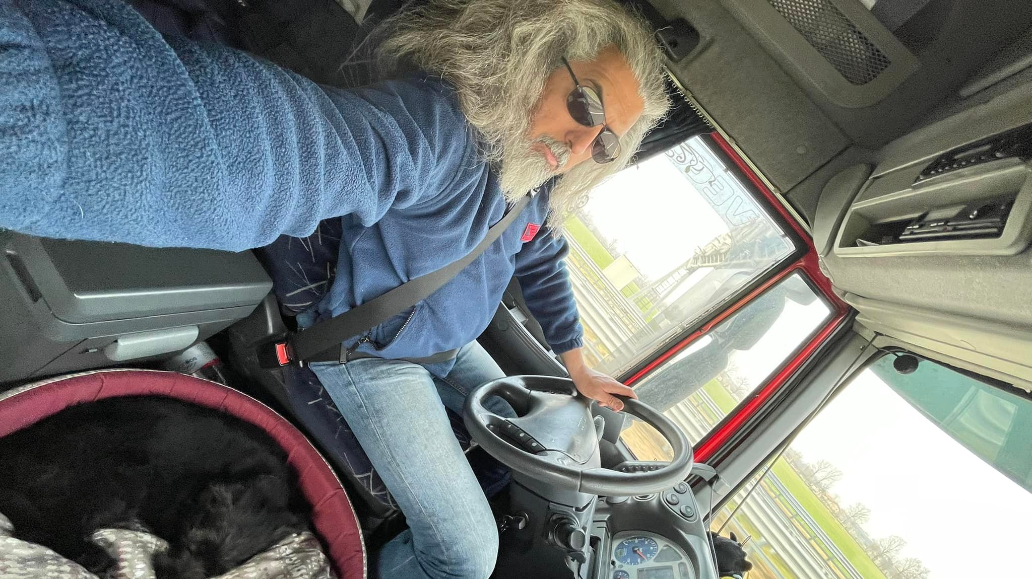 Cani Che Guidano Camion